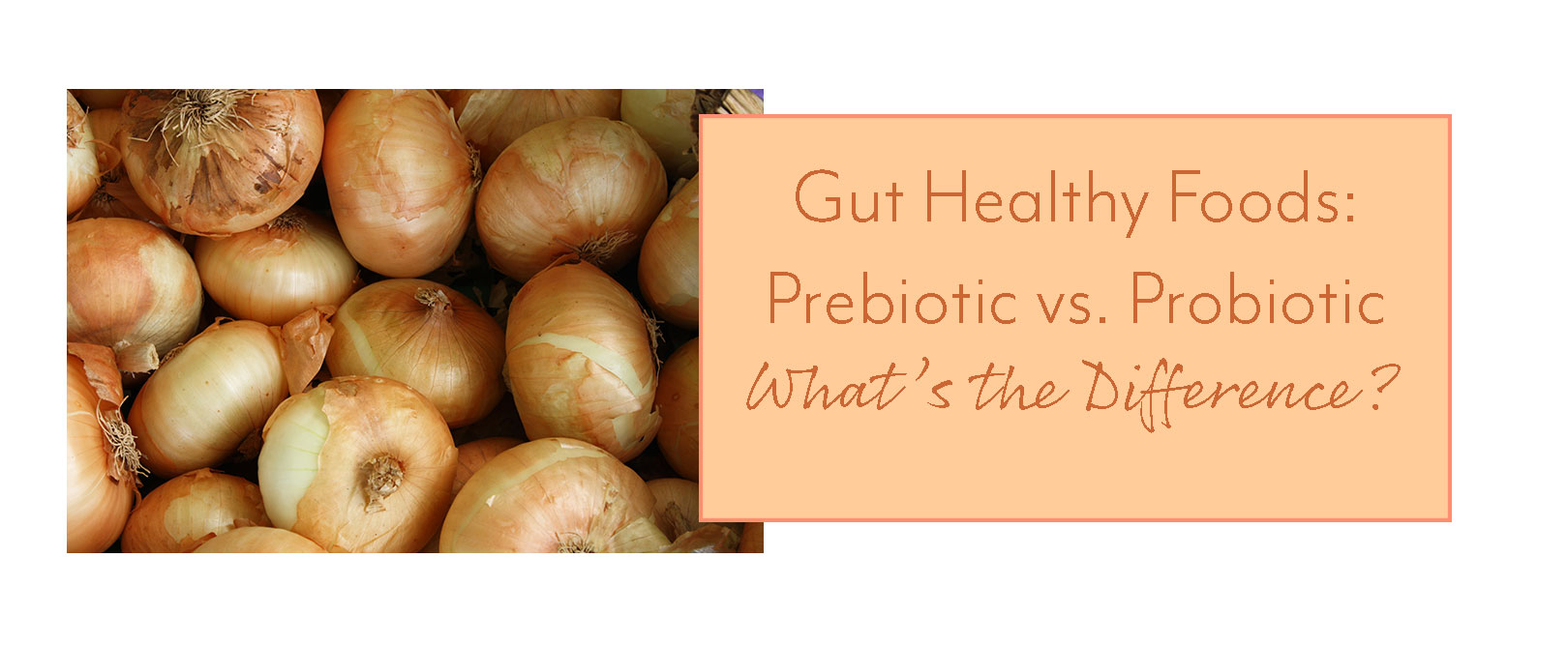 Gut Healthy Foods: Prebiotic vs. Probiotic, What's the Difference ...