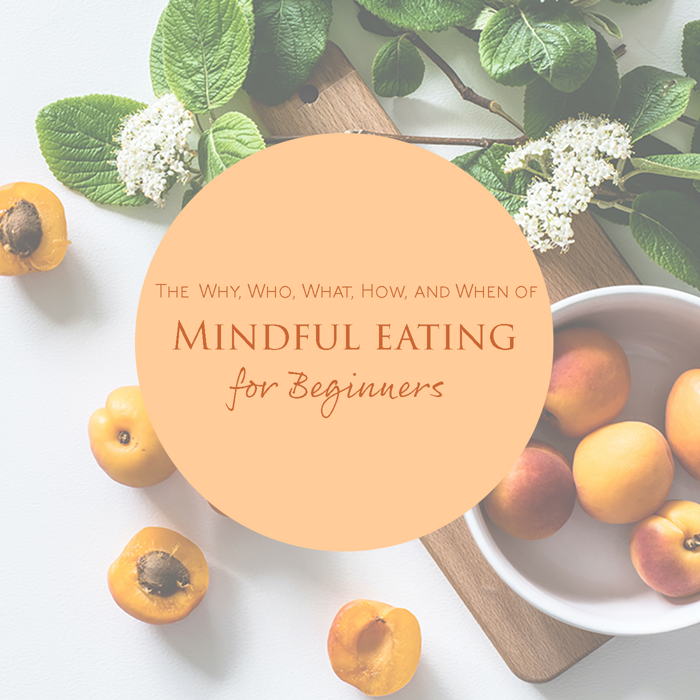 Mindful Eating for Beginners - Katerina Baratta, MS, LAc
